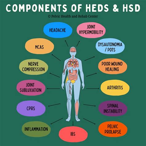 How To Diagnose Eds And Heds Essential Guide Phrc