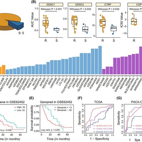 The Single‐cell Heterogeneity Of 24 Pdac Samples Pdac Pancreatic Download Scientific Diagram