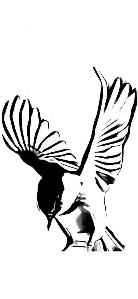 Native Seeds For Chickadees Tahoe Multisport