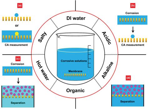 Schematic Representation Of Various Chemical Durability Tests On