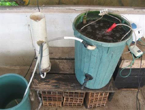 A Schematic Representation Of Uasb Reactor Download Scientific Diagram