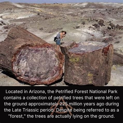 Ancient Explorers” 85 Fascinating Pics From This Page Thats