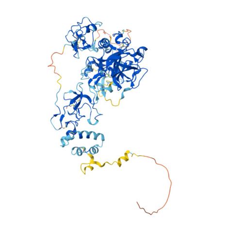 Rcsb Pdb Af Afp00734f1 Computed Structure Model Of Prothrombin