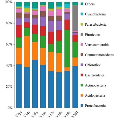 Distribution Map Of Bacterial Communities At The Phylum Level