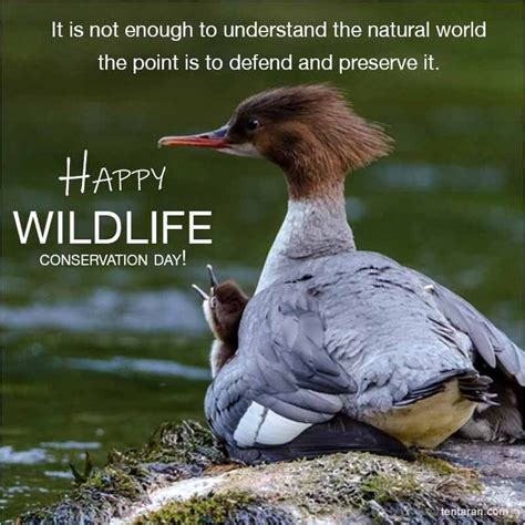 Happy World Wildlife Conservation Day Quotes 2020 Images Poster