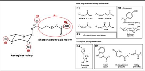 Ascrとは ゲームモニター Ascr 暗い Sgmw