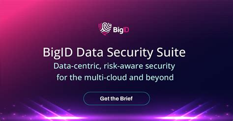 Bigid On Linkedin Datasecurity Bigid Protectyourdata