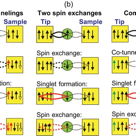 Coherent Spin Dynamics In An Sts System The First Row Indicates The