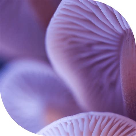 Skills Contact Csg Group