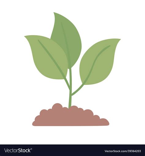 Plant Ecology Nature Royalty Free Vector Image