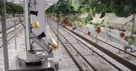 농업에도 Ai·로보틱스·자율주행 심는다美 조르디 플로틱과 맞손