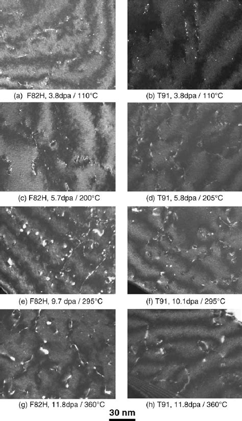 Defect Cluster Structure Of Irradiated F82h Left Column And T91 Download Scientific Diagram