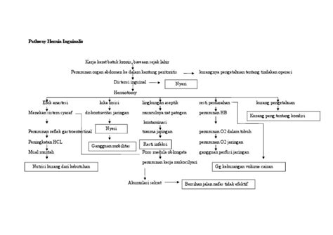 Pathway Hernia Inguinalis Pdf