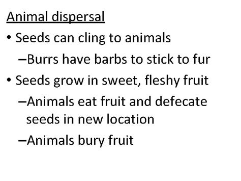 Sexual Reproduction In Plants And Animals Note Frame