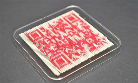 Researchers Use Multi Material 3d Printing To Customize Food Fabbaloo