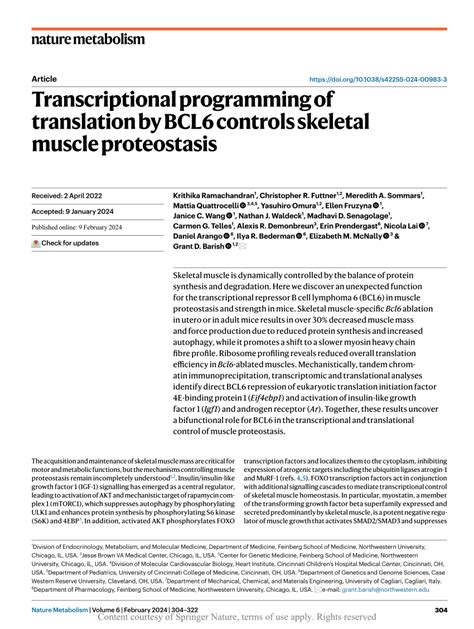 Transcriptional Programming Of Translation By Bcl6 Controls Skeletal Muscle Proteostasis