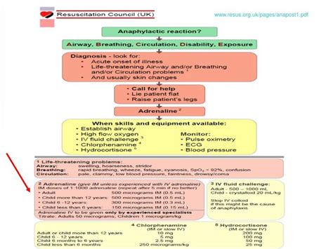 Acls Algorithm Nursing Mnemonics Algorithm