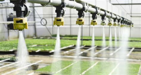 How Iot Based Smart Agriculture Is Transforming Farming With Ubibot