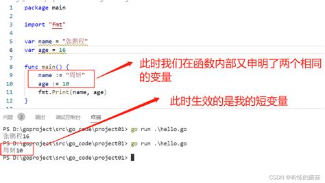 Go语言中的变量、常量与iota详解 Csdn博客