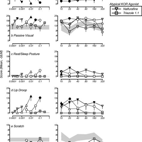 Sedation Assessment Flowchart Scoring Rules For Sedation Measures