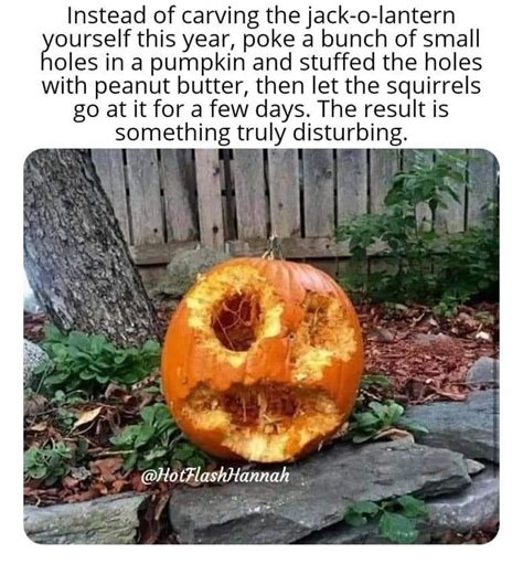 Pin By Witchery On The Witches Garden Funny Pumpkins Really Funny