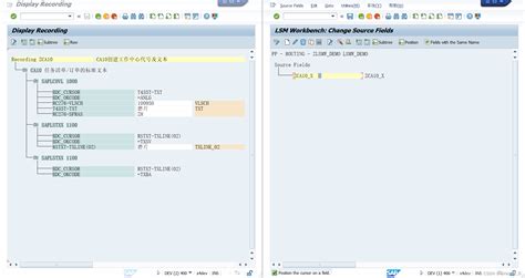 sap lsmw批导创建及使用过程 csdn博客
