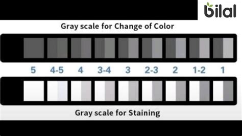 Understanding The Gray Scale For Textile Testing B͎i͎l͎a͎l͎