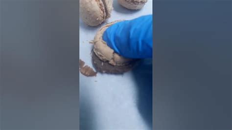 Crush Things Youtube