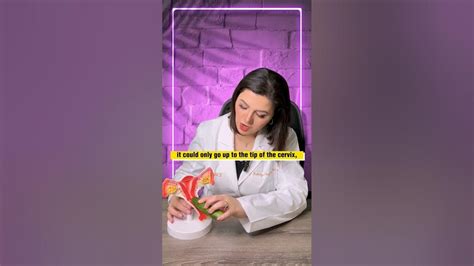 How Deep Does The Penis Go Into The Vagina Youtube