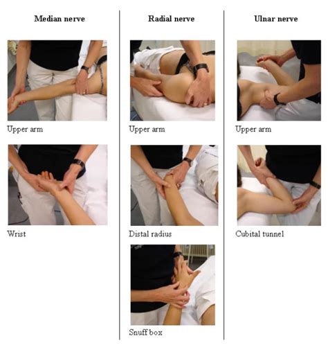 Neurodynamics Research Notes — Richard Lebert Registered Massage Therapy