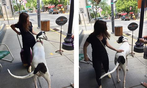 About Danielle Kraese