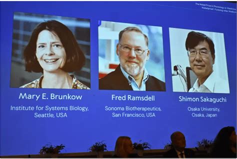 Nobel Prize In Physiology Or Medicine 2025 Immune System Discoveries