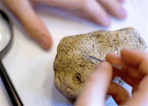 Explore Geology Ku Biodiversity Institute And Natural History Museum
