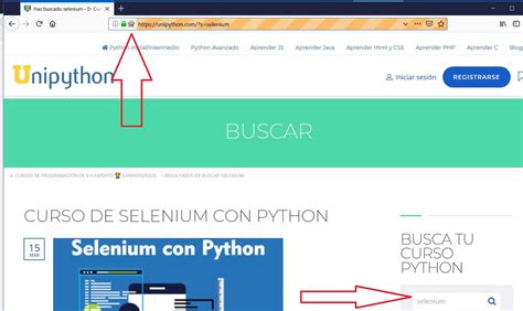 Empezando Con Selenium Cursos De Programación De 0 A Experto