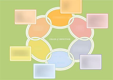 Diagram Of Week 2 Basic Concepts And Stages Of Infection And Disease