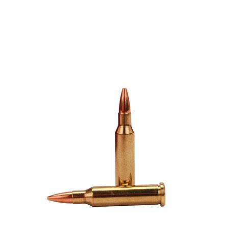 17 Hornet Ammo Total Sports