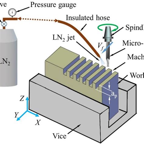 Schematic Diagram Showing The Application Of Cryogenic During