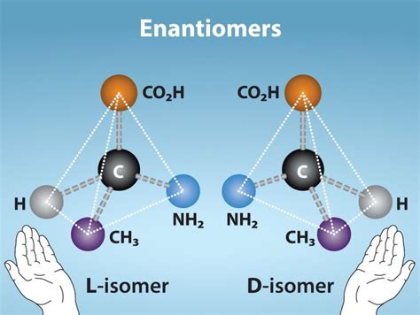 Carbon And Functional Groups Principles Of Biology I