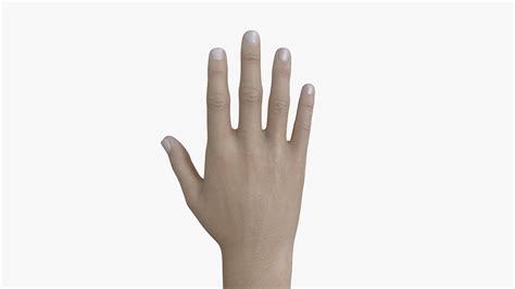 Hnd 005 Right Hand 3d Model Turbosquid 1979823