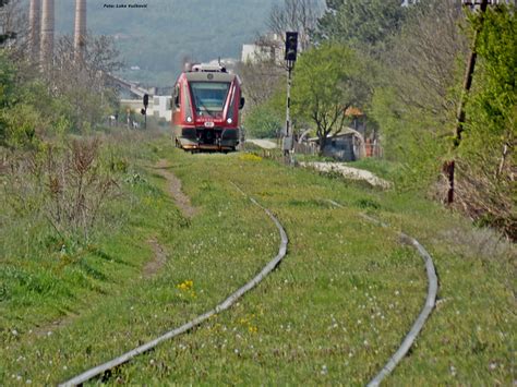 Luka Vučković Flickr