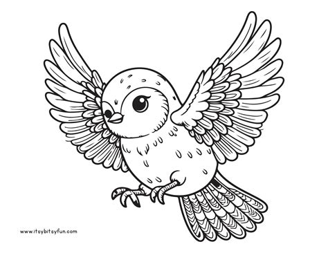 Free Printable Bird Coloring Pages 2025