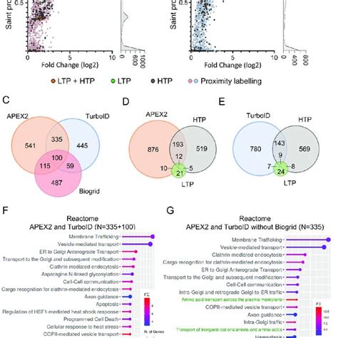 Analysis Of Proximal Datasets And Comparison To Biogrid Ab The
