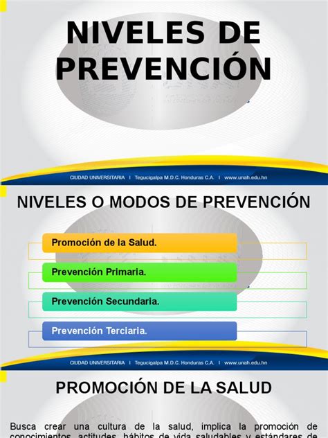 Niveles De Prevención Promoción Y Protección De La Salud Pdf
