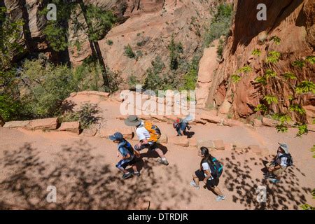 Walters Wiggles On The Angels Landing Trail Zion National Park Utah