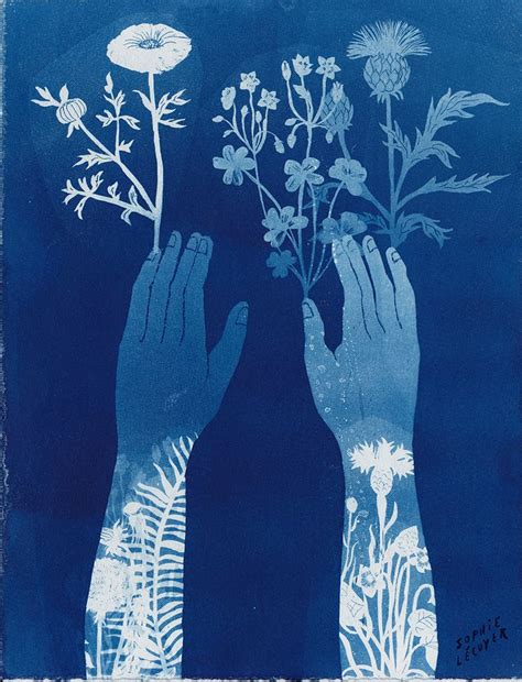 The Original Wet Cyanotype Process Artofit