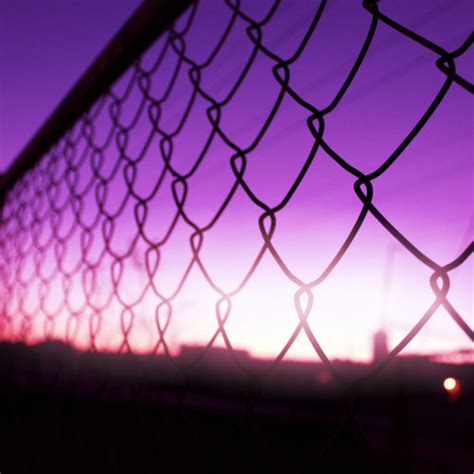 Stream Tara Nancy Trombetta Listen To Tony Tiger King Lion