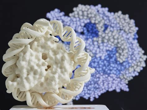 Next Generation Sequencing Ngs Based Diagnostics For Identifying