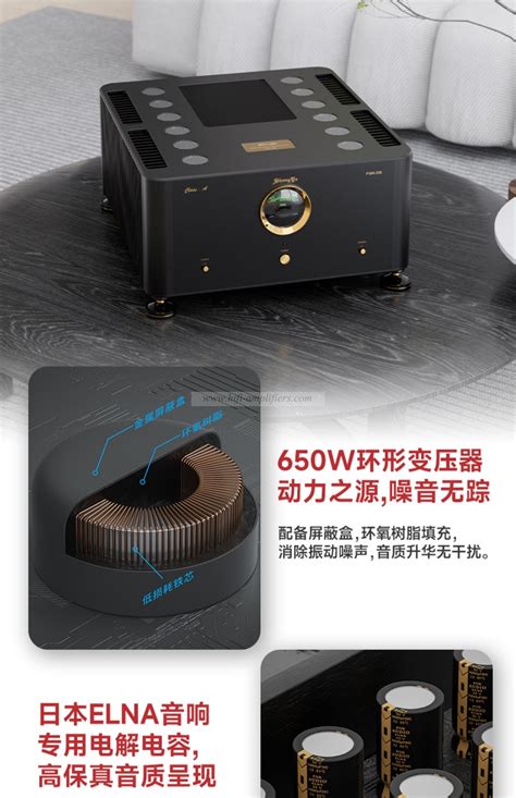 Shengya Psm 338 Hi End Mono Full Balanced Gallstone Hybrid Class A