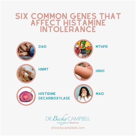 Exploring The Role Of Genetics In Histamine Intolerance And Symptom