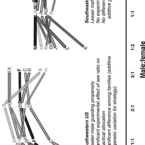1 The Experimental Influence Of Sex Ratio On Behavior Of Male Soapberry